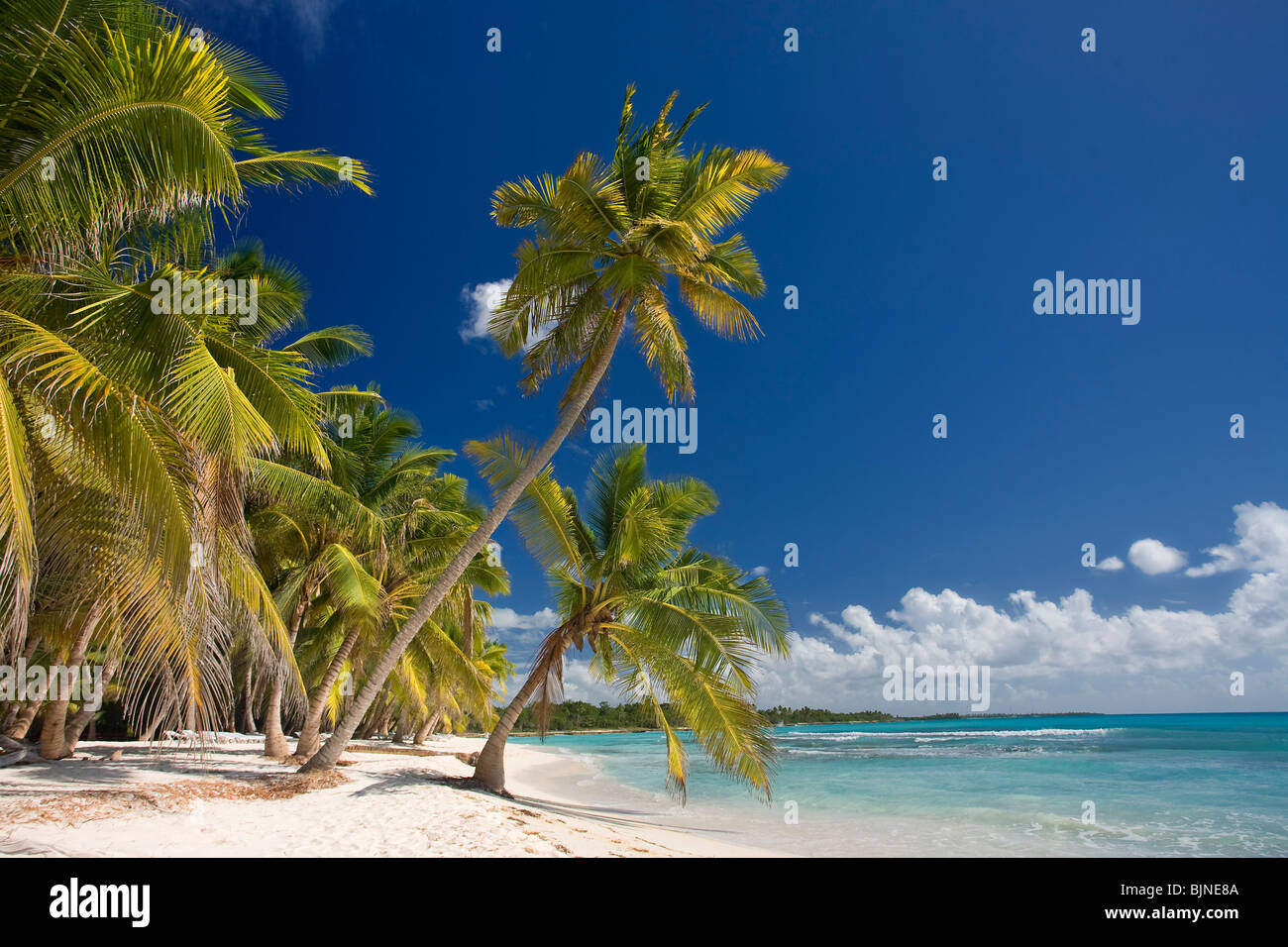 Saona Island, Dominican Republic Stock Photo - Alamy