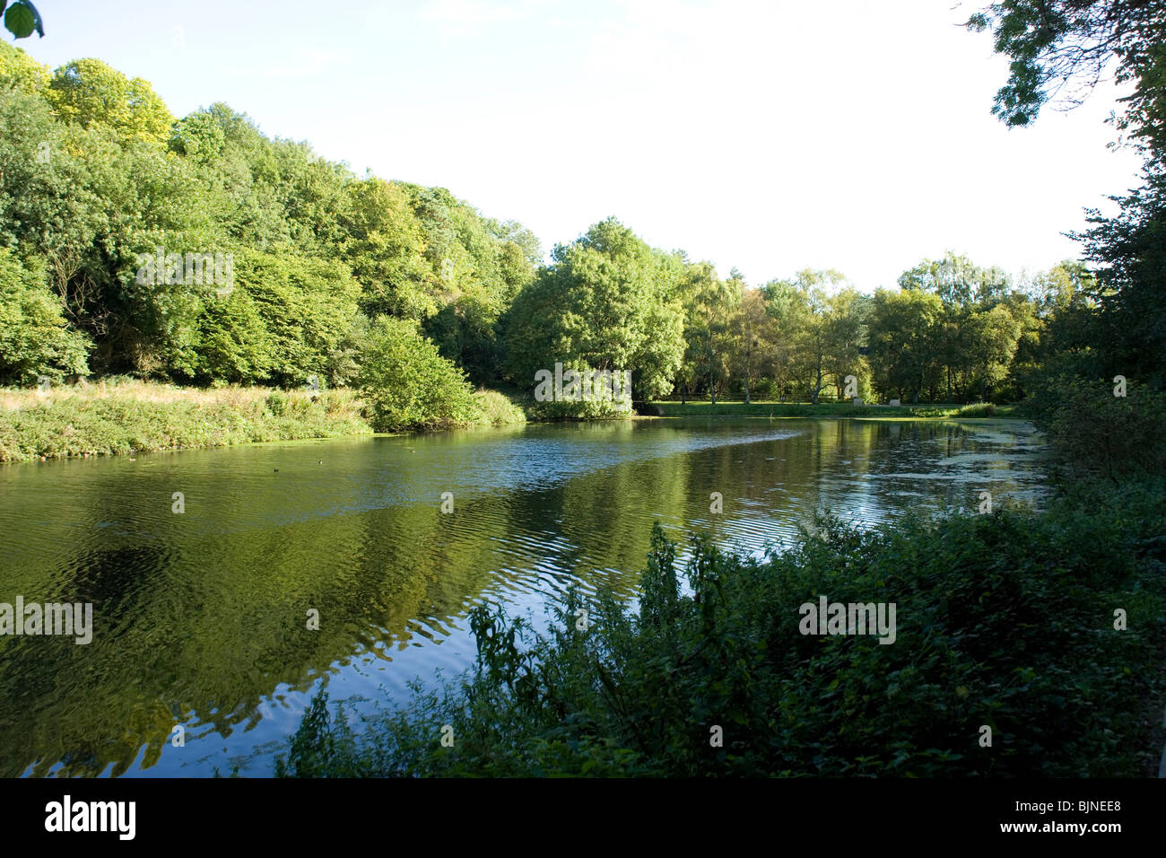 Creswell Crags in Derbyshire Stock Photo - Alamy