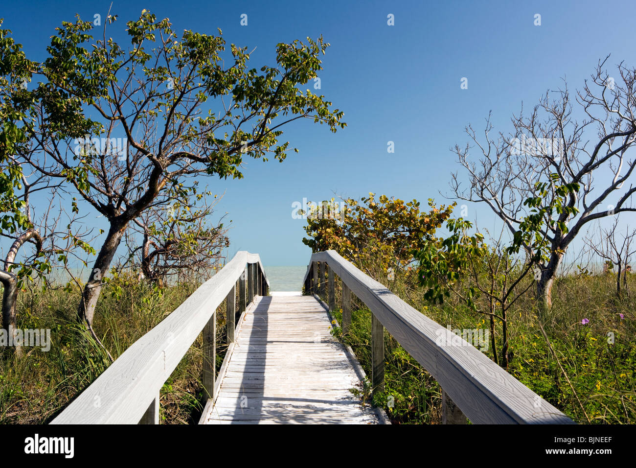 Boardwalk to Beach - Sanibel Island, Florida USA Stock Photo - Alamy