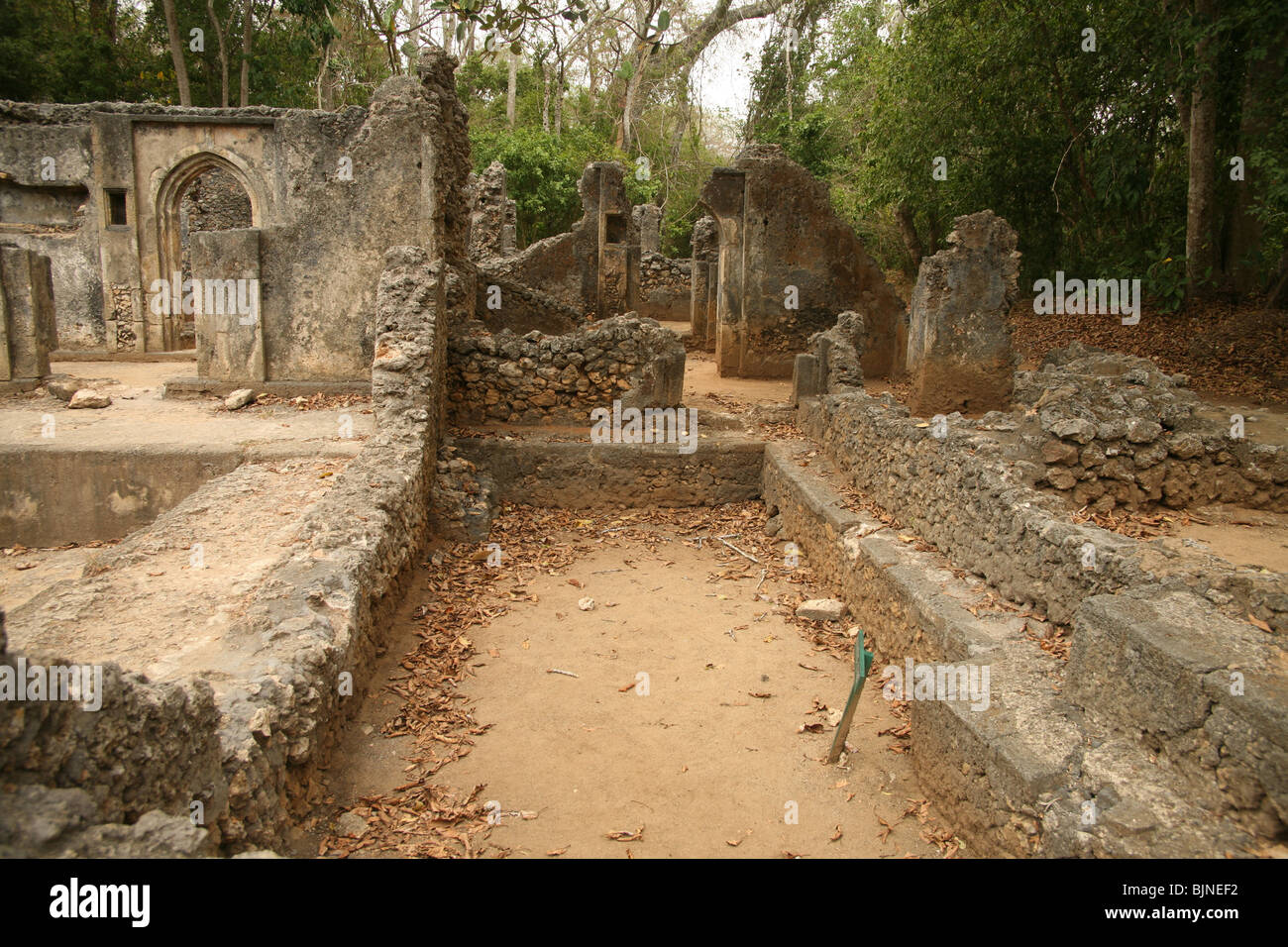 The Ruins of Gedi are the remains of a ancient Swahili civilization in ...