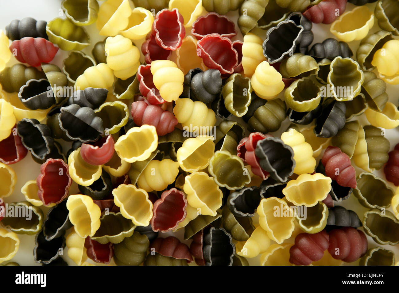 Italian pasta texture, multicolor, clam shell shape Stock Photo - Alamy