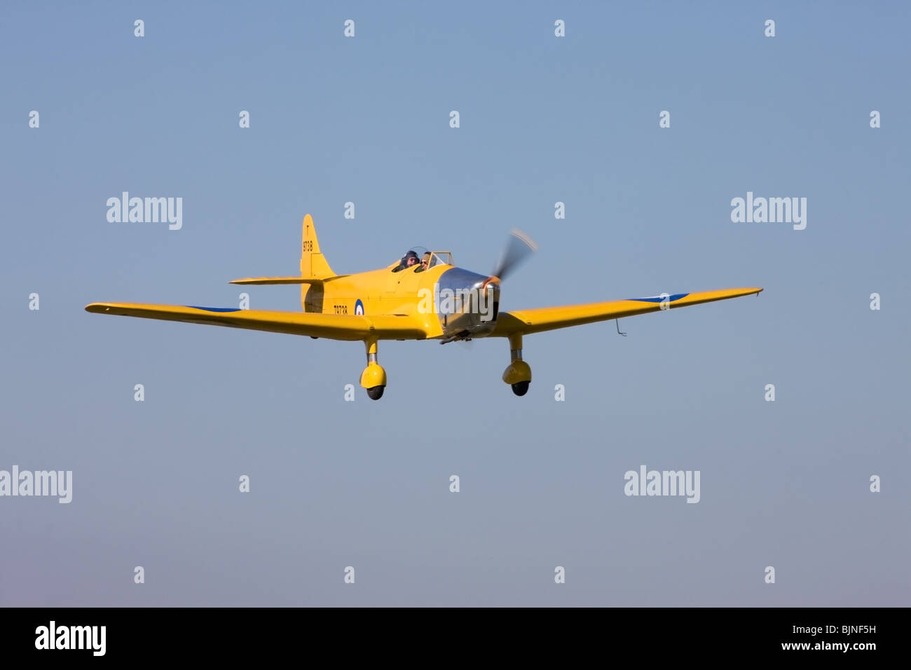 Miles hawk trainer hi-res stock photography and images - Alamy
