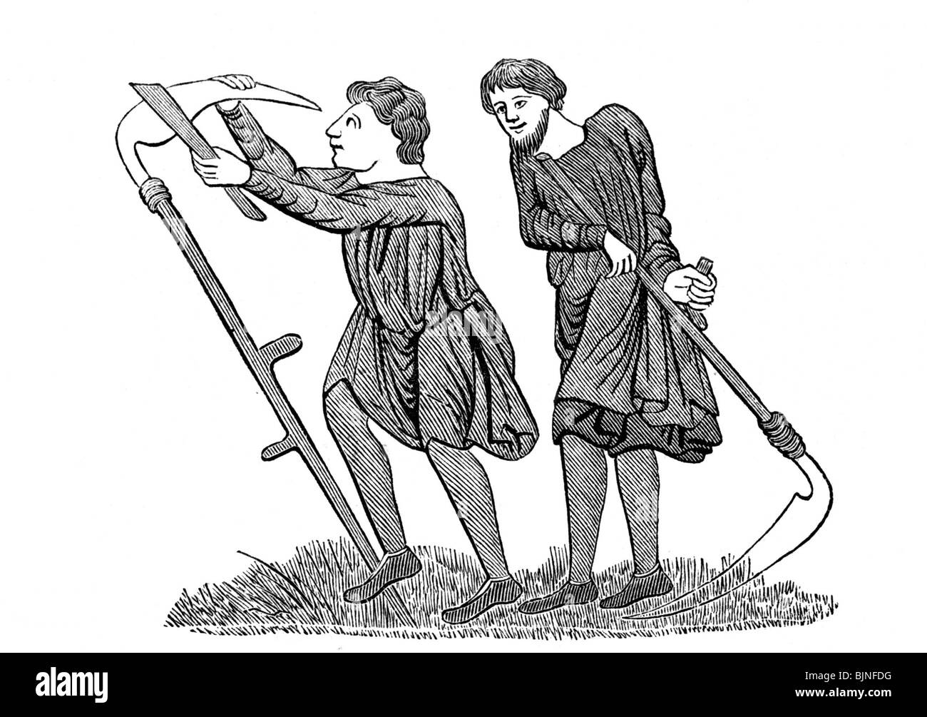 Medieval agriculture hi-res stock photography and images - Alamy
