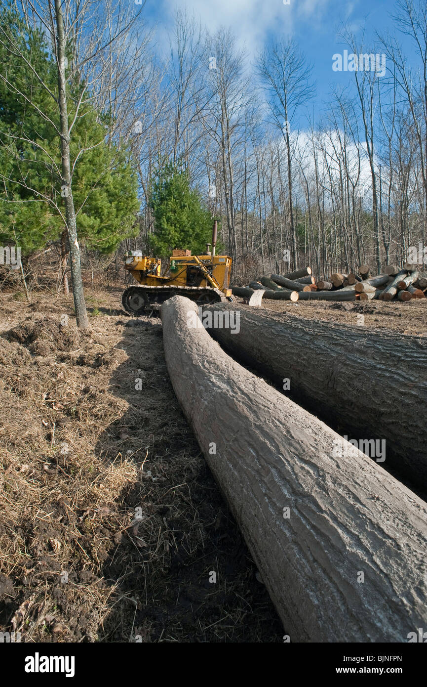 Commercial logging operation hi-res stock photography and images - Alamy