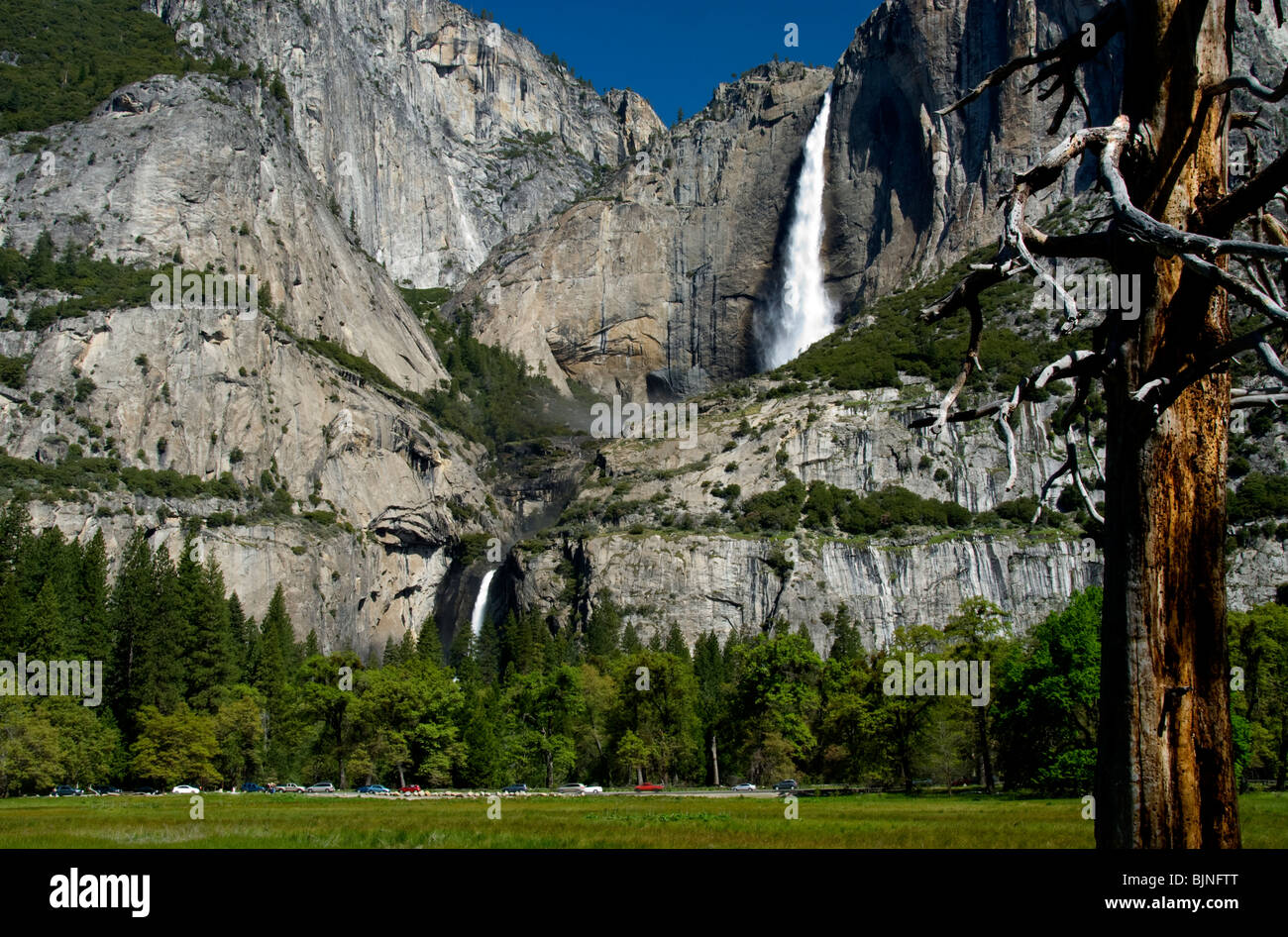 Upper and Lower Yosemite Falls as seen from valley floor, Yosemite ...