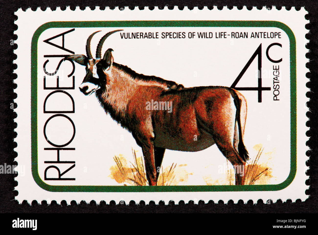 Postage stamp from Rhodesia depicting a roan antelope Stock Photo - Alamy