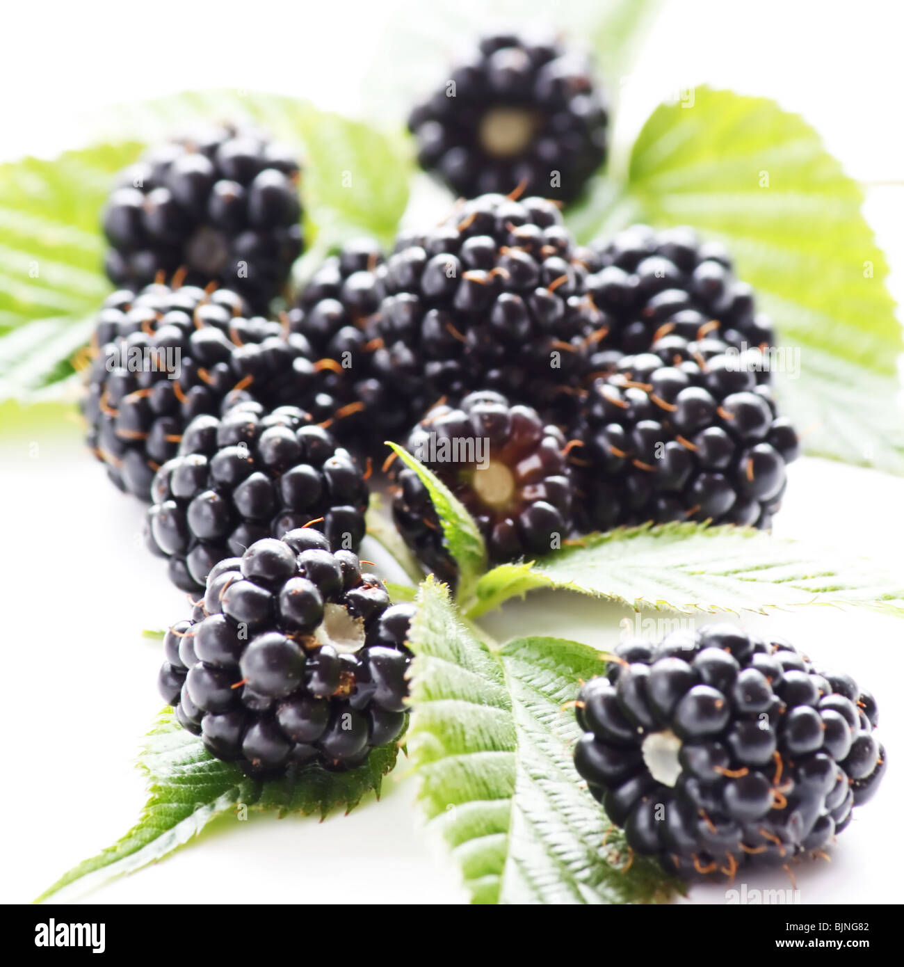 Black dewberries hi-res stock photography and images - Alamy