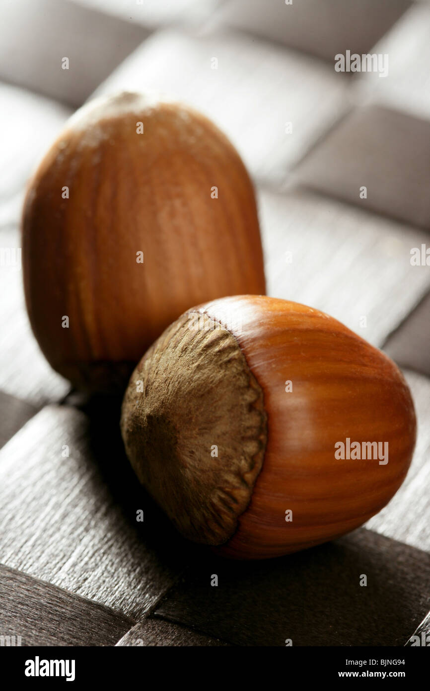 Delicious hazelnuts, macro detail, warm golden light, studio shot Stock ...