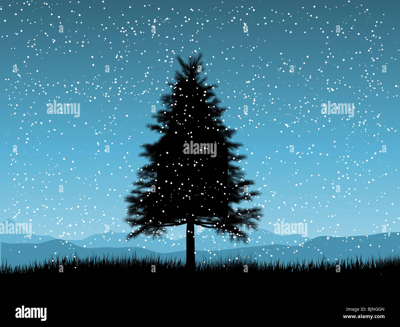 Fir tree silhouette hi-res stock photography and images - Alamy