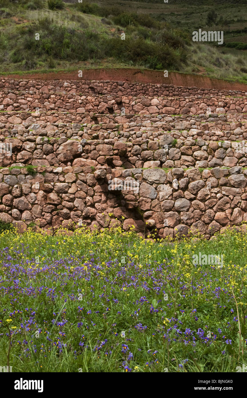 inca steps moray peru Stock Photo - Alamy