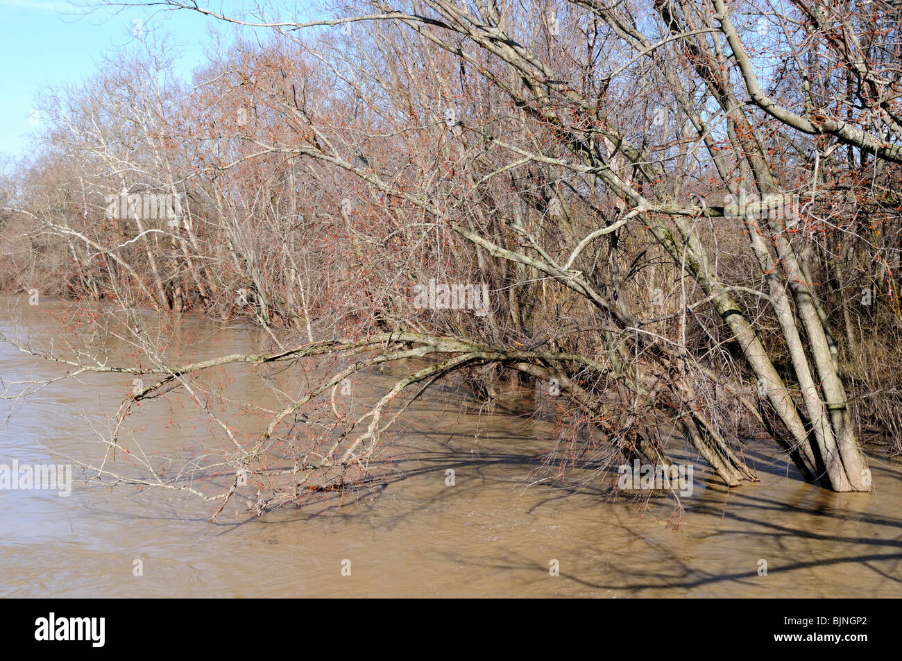 Wabash river in Huntington indiana Stock Photo - Alamy