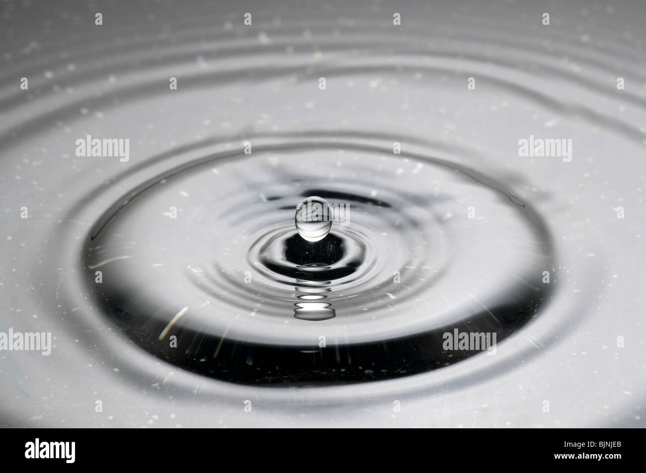 A droplet of water falling into a puddle and creating ripples Stock ...