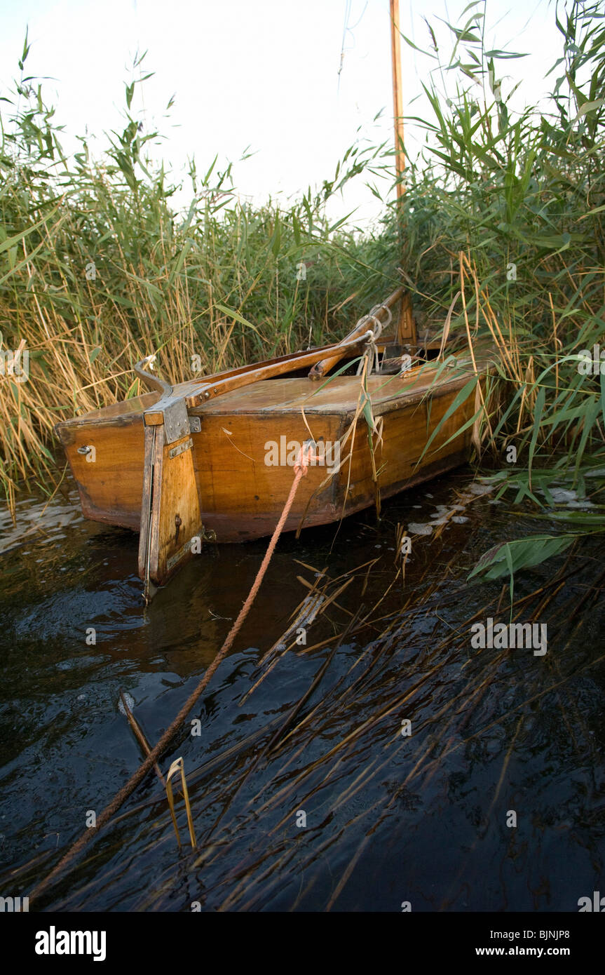 Sailing boat in reed Stock Photo - Alamy