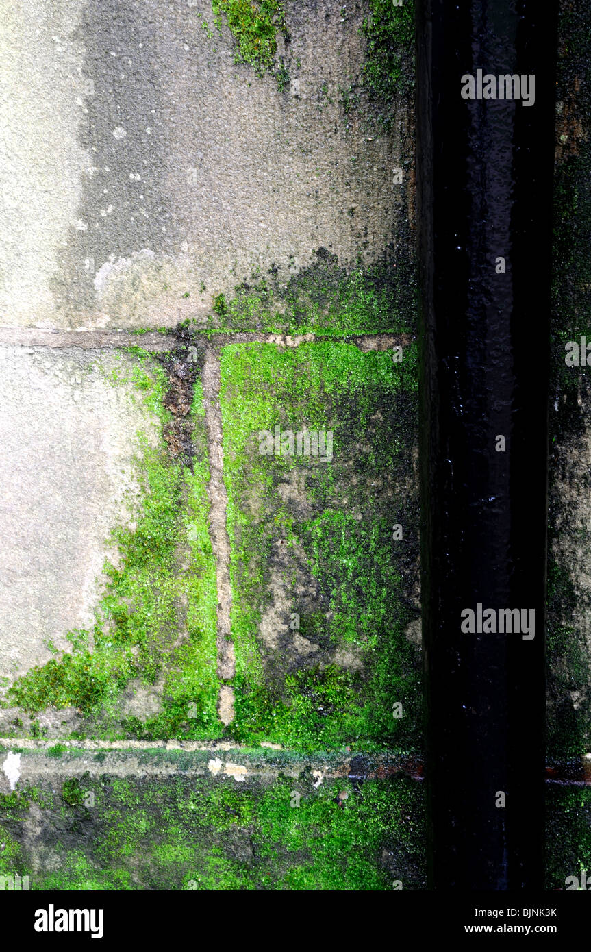 Blocked downpipe hi-res stock photography and images - Alamy