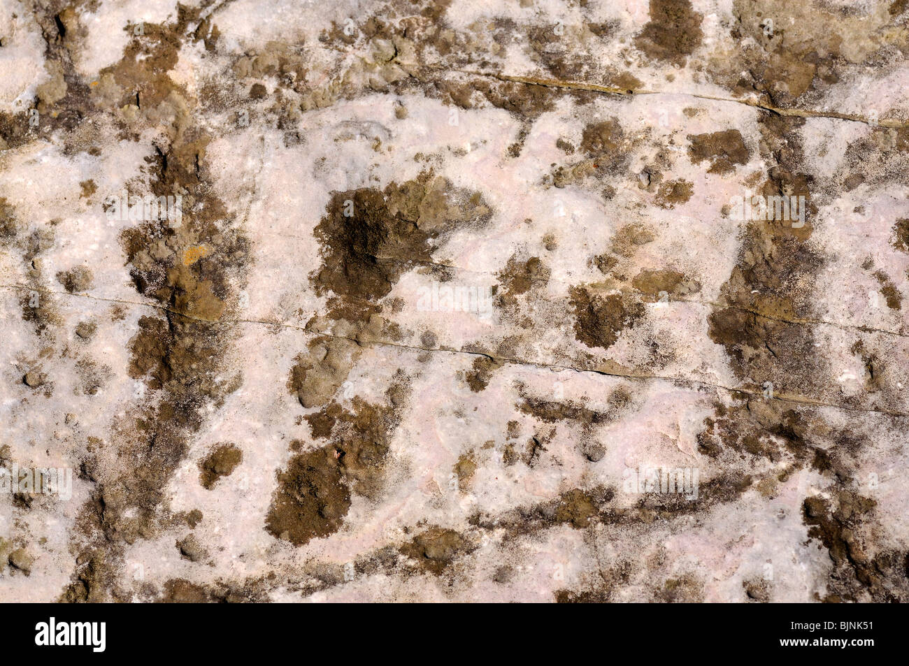 Texture and patterns in limestone Stock Photo - Alamy