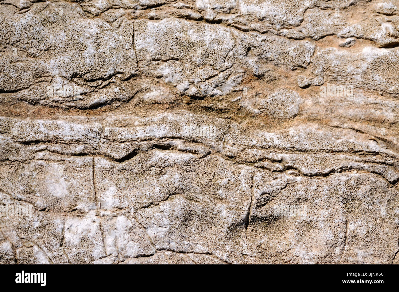 Texture and patterns in limestone Stock Photo - Alamy