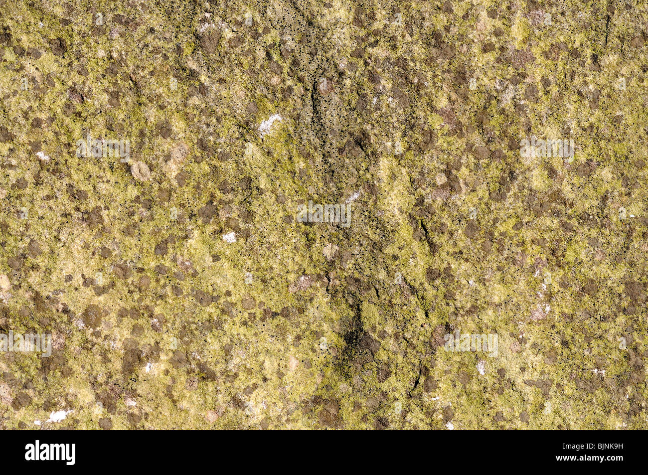 Texture and patterns in limestone Stock Photo - Alamy