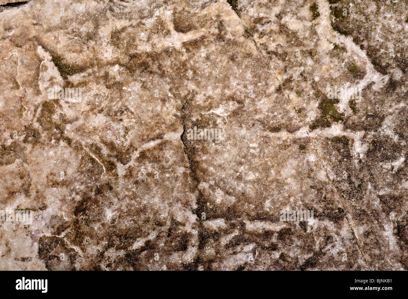 Texture and patterns in limestone Stock Photo - Alamy