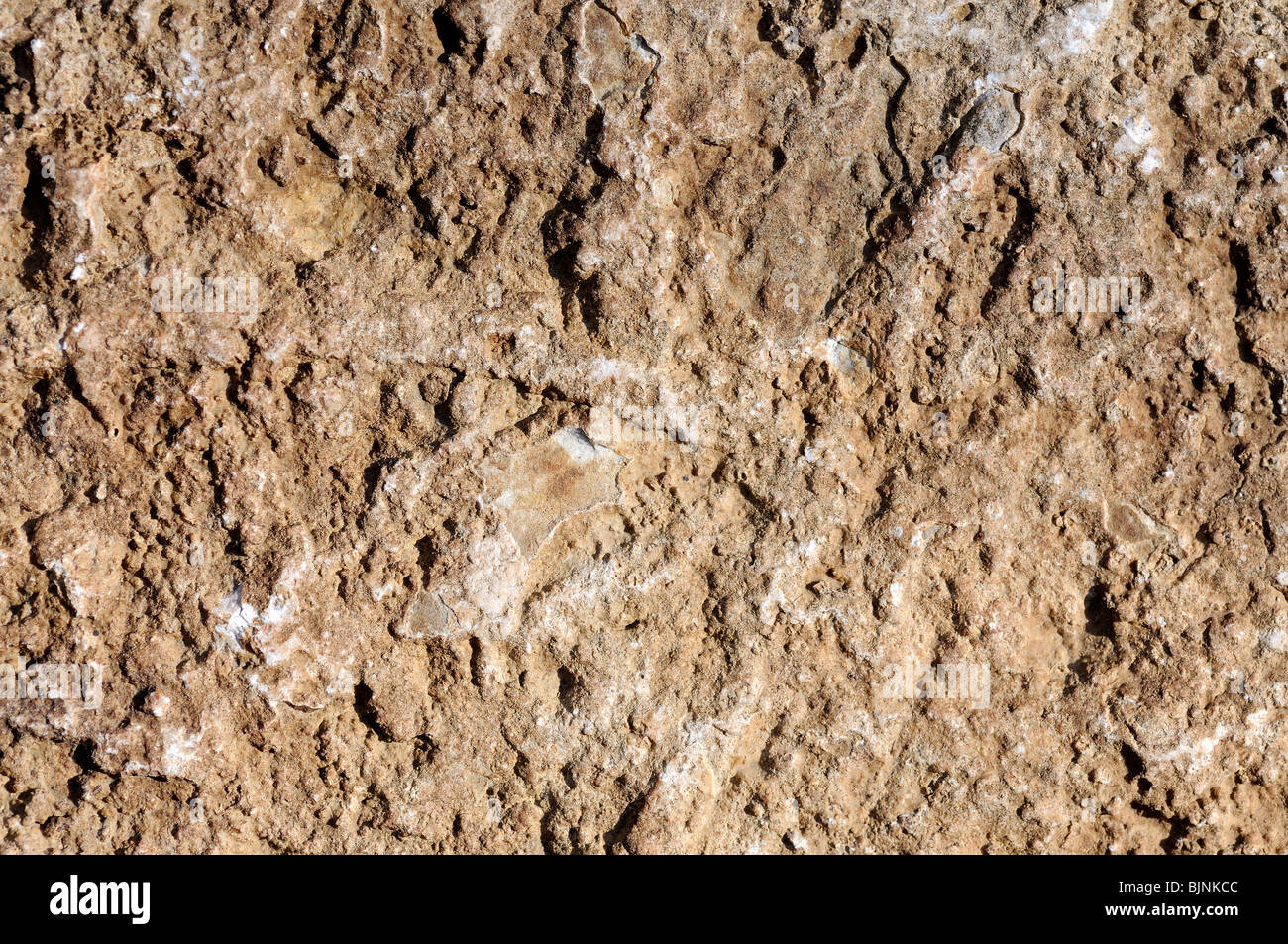 Texture and patterns in limestone Stock Photo - Alamy