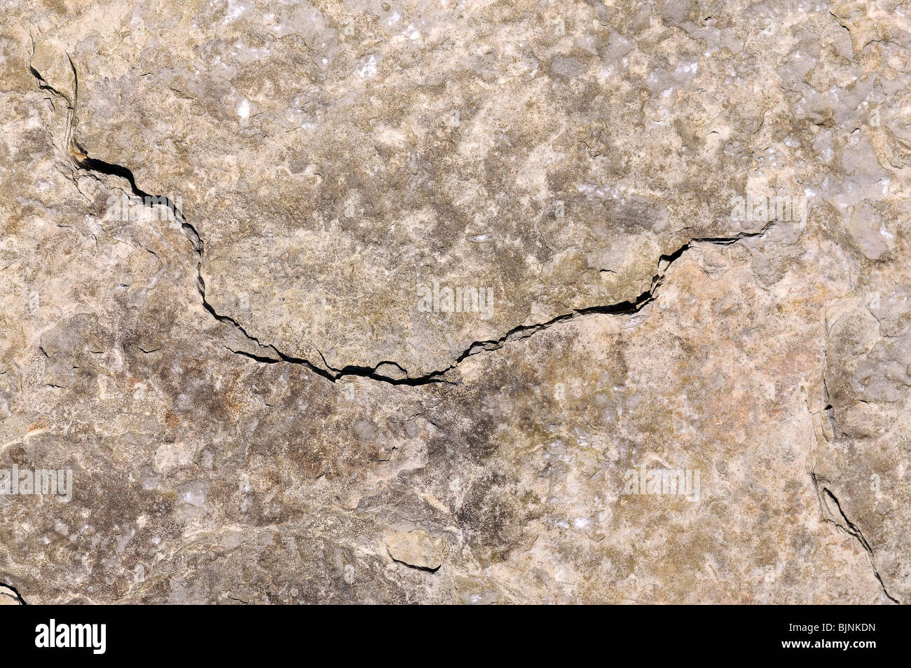 Texture and patterns in limestone Stock Photo - Alamy