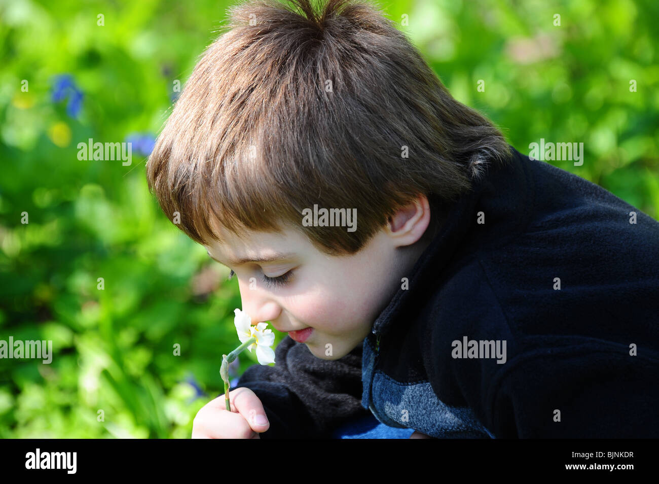 Young boy smelling flowers in hi-res stock photography and images - Alamy