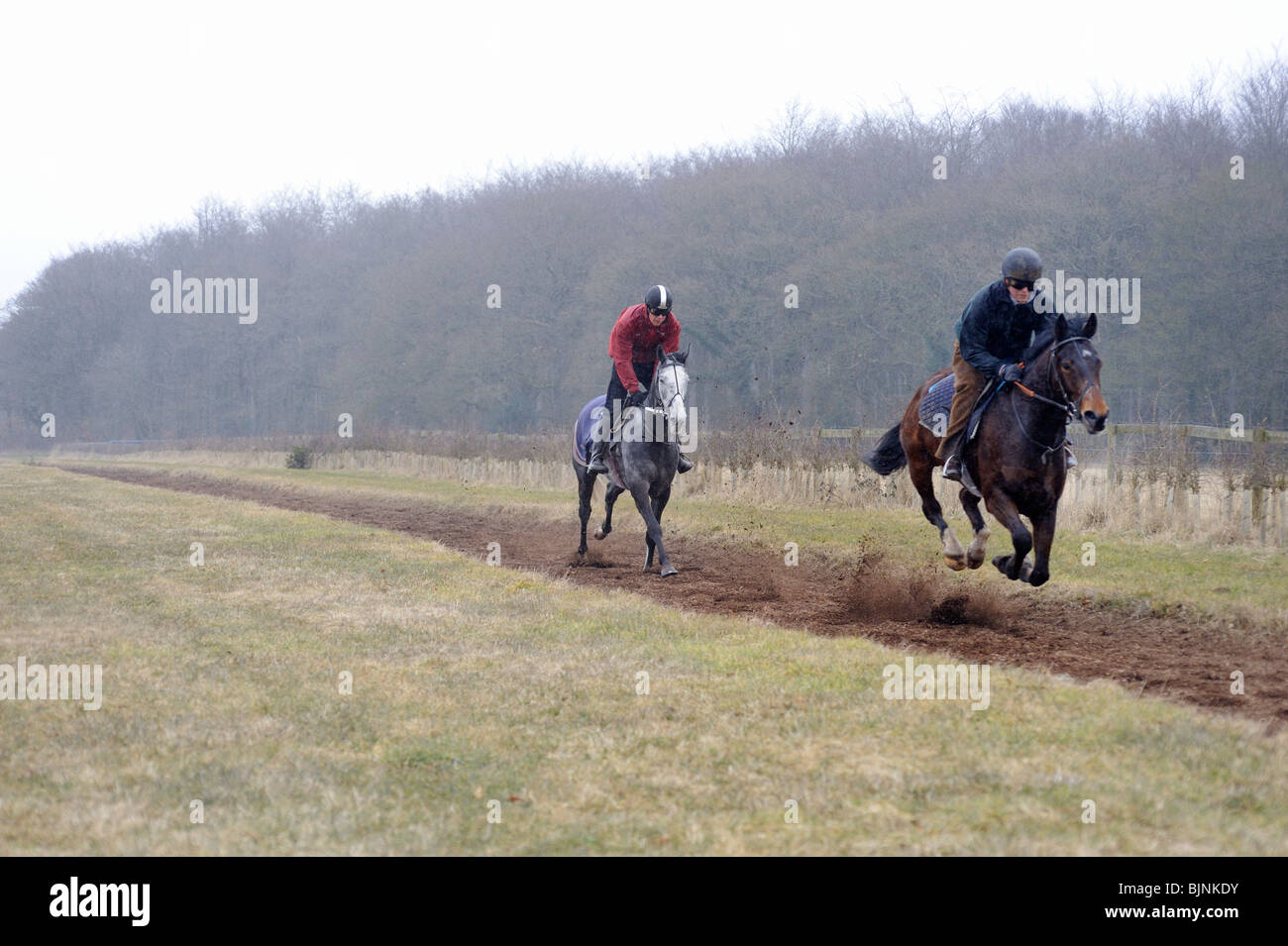 In full gallop racehorses training Stock Photo - Alamy