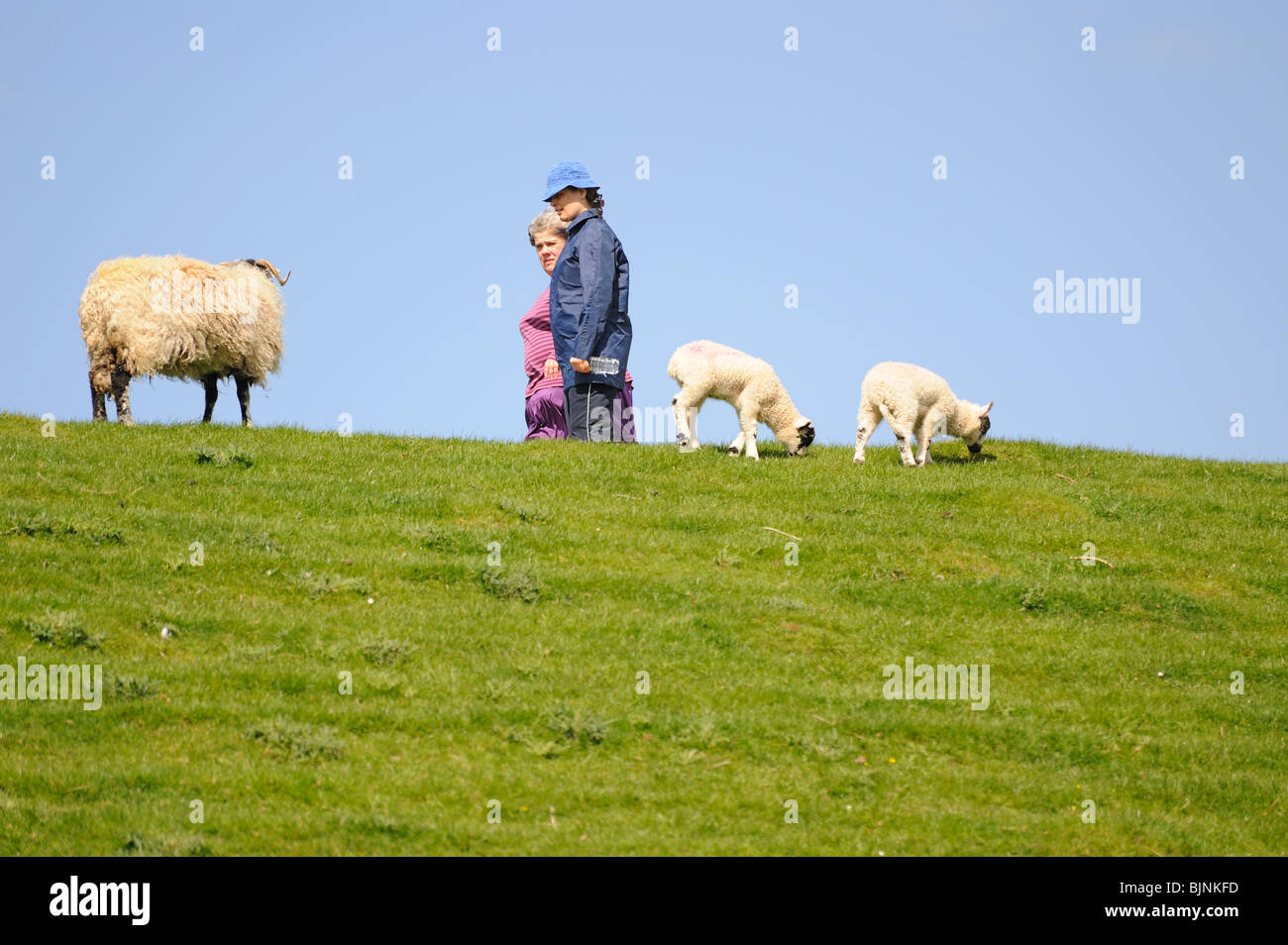 Axbridge cheddar village hi-res stock photography and images - Alamy