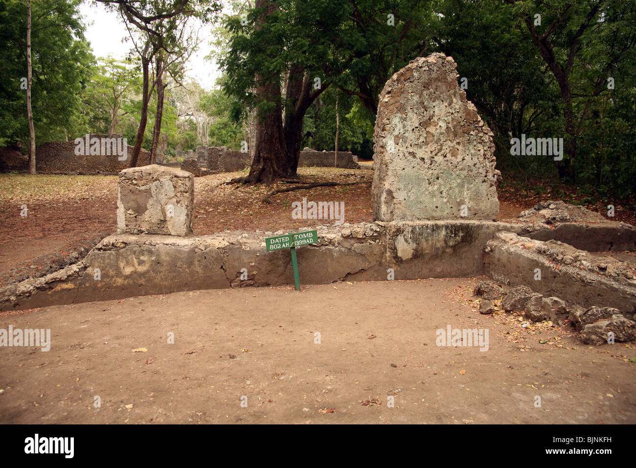 The Ruins of Gedi are the remains of a ancient Swahili civilization in ...