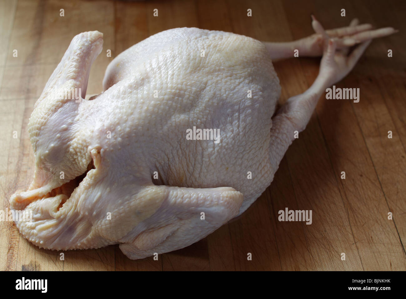 Belle Rouge chicken Stock Photo - Alamy