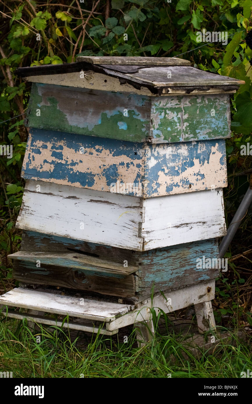 Old fashioned beehive hi-res stock photography and images - Alamy