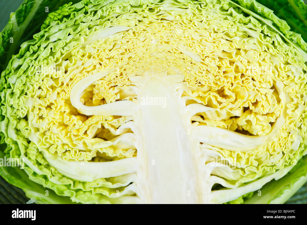 Close up of half sliced green cabbage head Stock Photo - Alamy