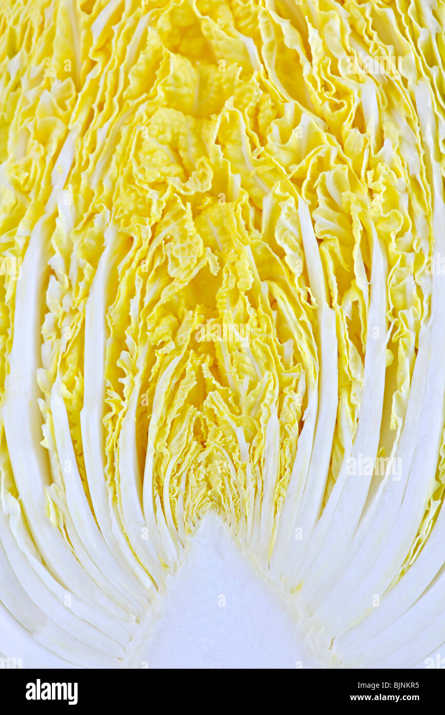 Close up of half sliced chinese cabbage head Stock Photo - Alamy