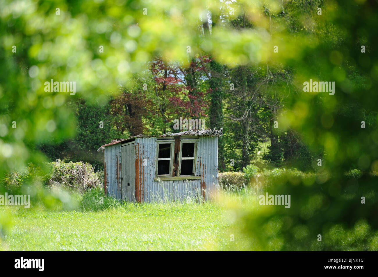 Corrugated iron shack hi-res stock photography and images - Alamy