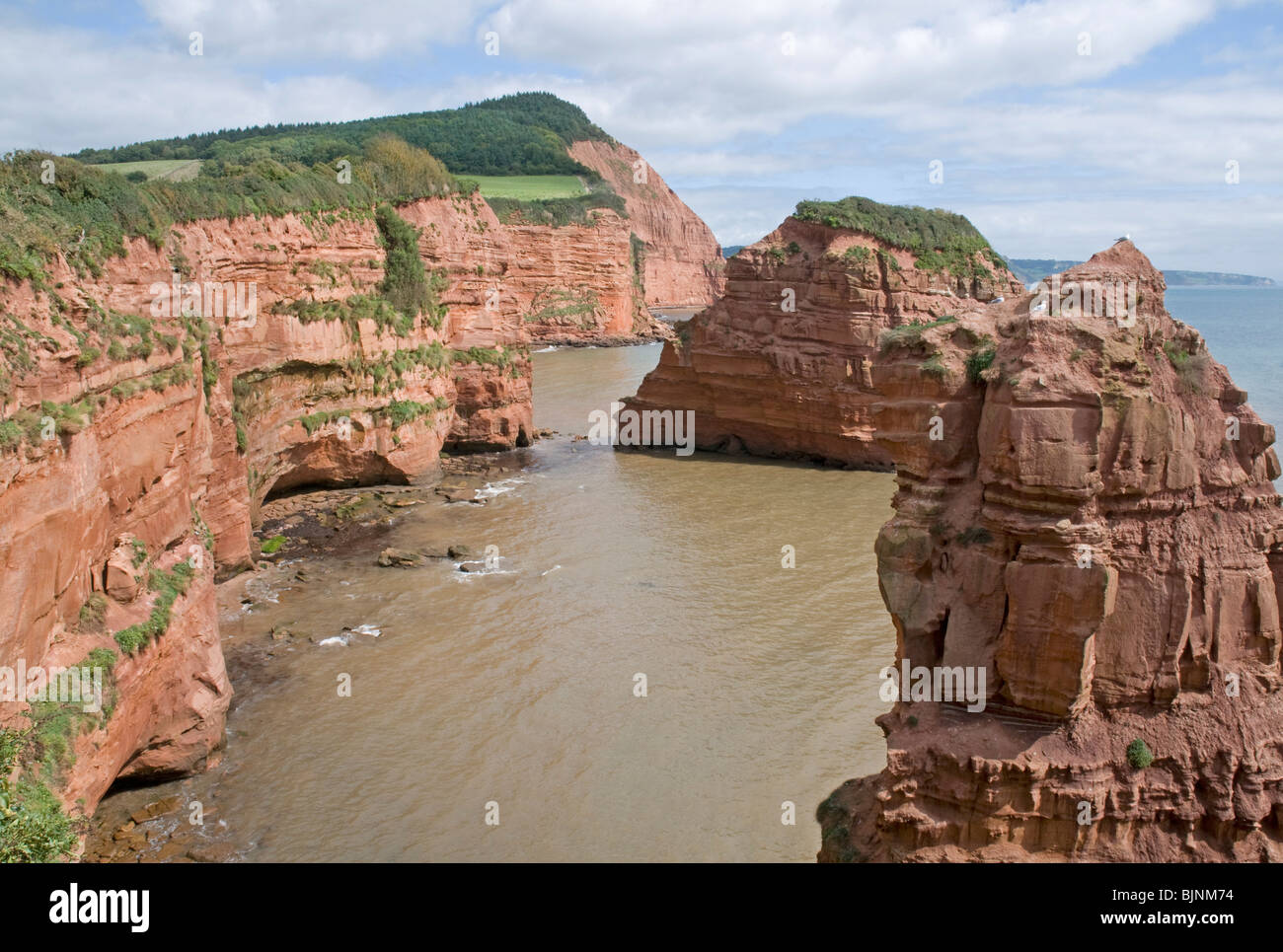 Impressive rocky south Devon coastline at Ladram Bay near Sidmouth ...
