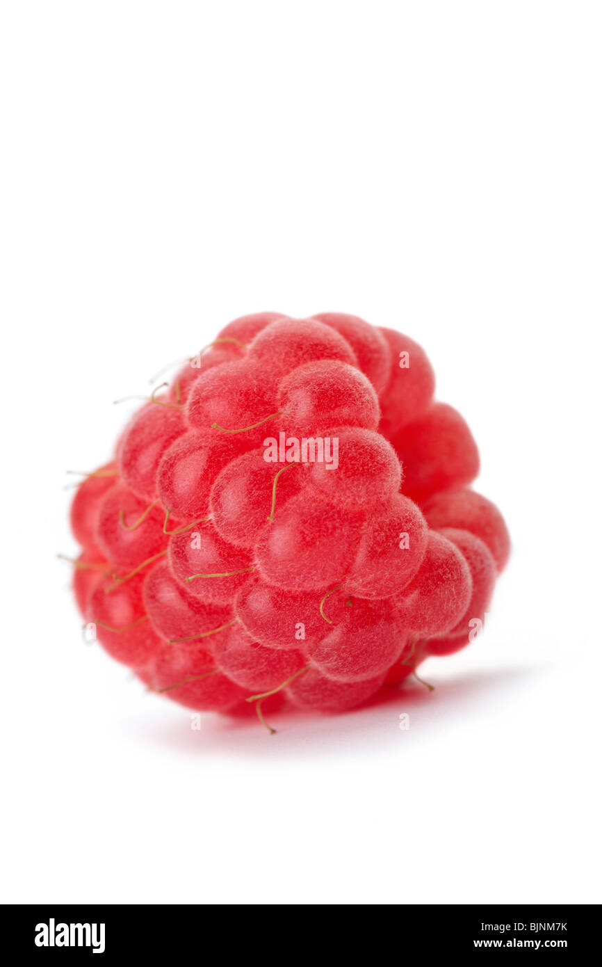 Raspberry single on white background Stock Photo - Alamy