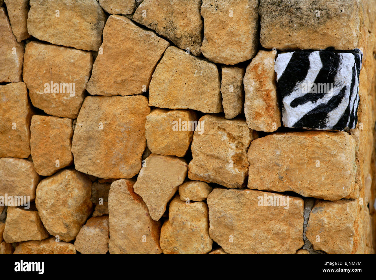 Unique, alone, only one zebra texture painted stone over masonry wall ...