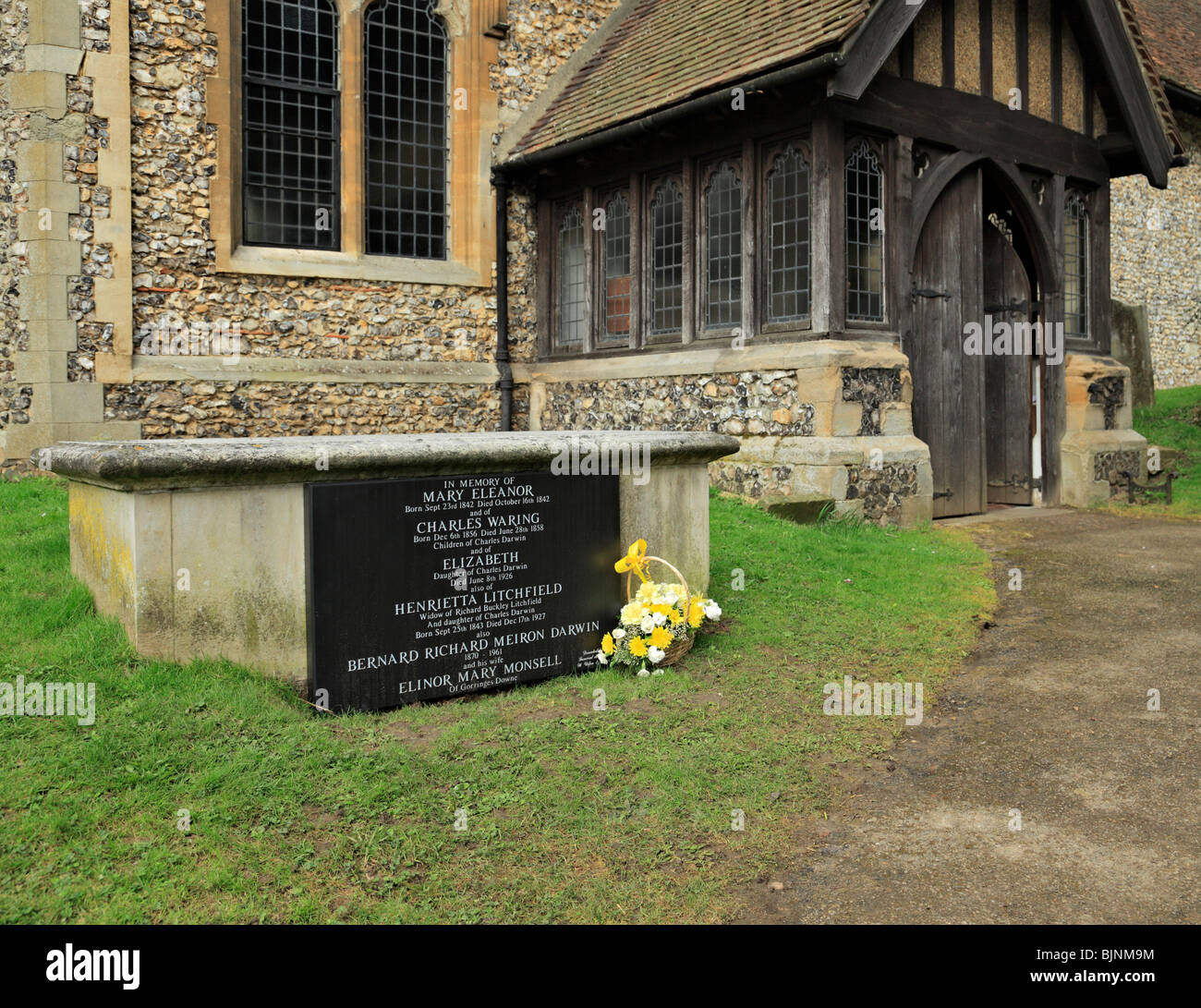 Charles darwin family hi-res stock photography and images - Alamy