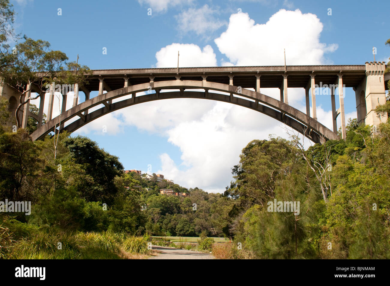 Long Bay Bridge, Cammeray, Sydney, Australia Stock Photo - Alamy