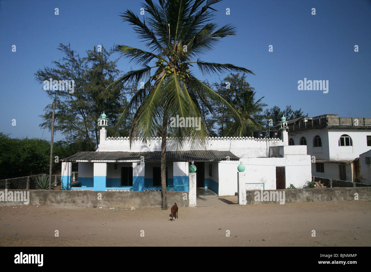 A Mosque in Mambrui in Kenya small fishing village near Malindi Stock ...