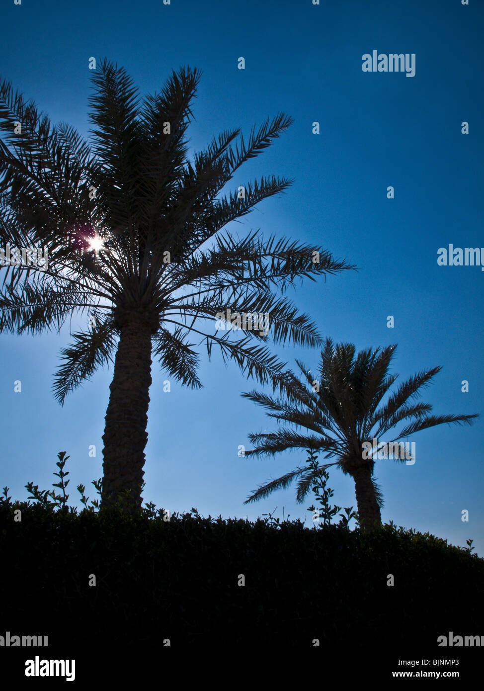 Al khor and al thakhira qatar hi-res stock photography and images - Alamy