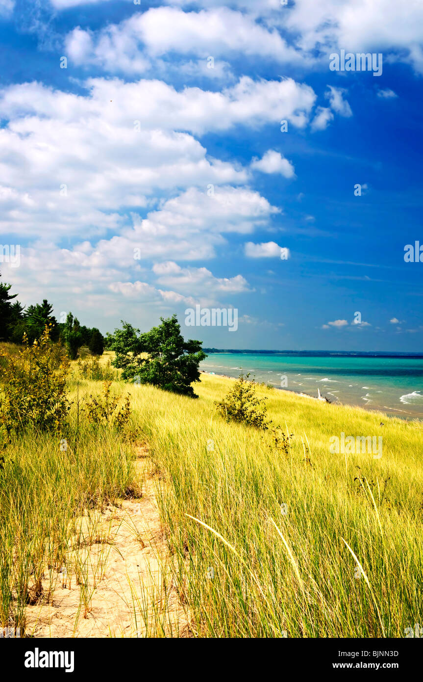 Sand dunes at beach shore. Pinery provincial park, Ontario Canada Stock ...