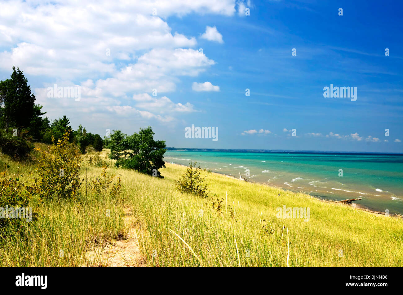 Sand dunes at beach shore. Pinery provincial park, Ontario Canada Stock ...