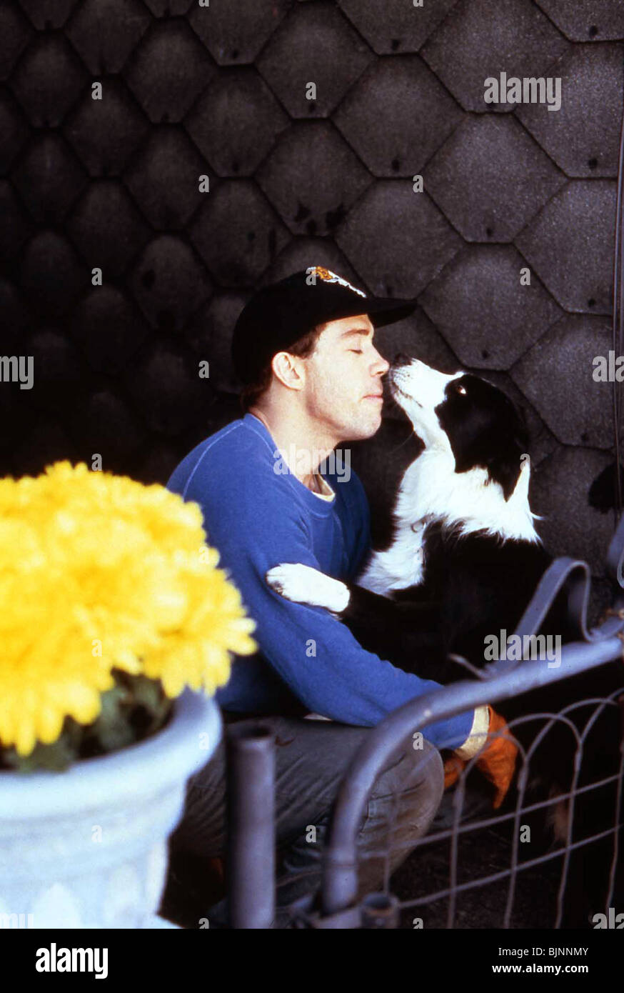 DOMINICK AND EUGENE (1988) NICKY AND GINO (ALT) TOM HULCE ROBERT M ...