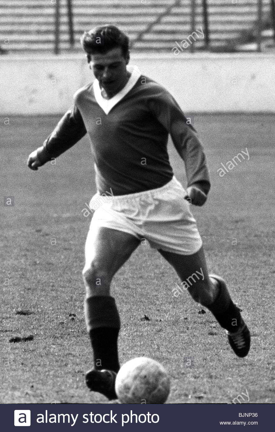 Eric Caldow Stock Photos & Eric Caldow Stock Images - Alamy