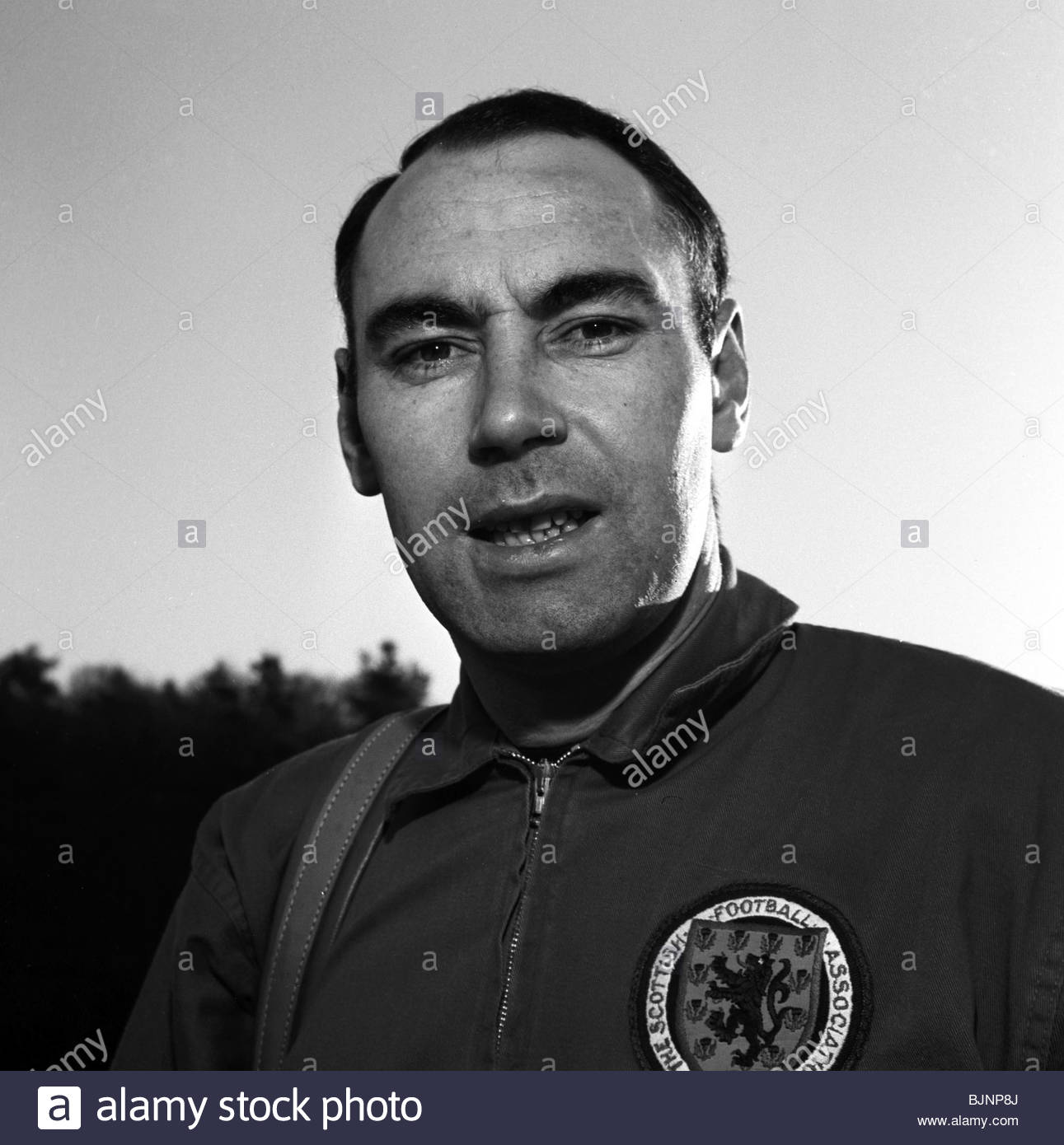 Alan Gilzean Stock Photos & Alan Gilzean Stock Images - Alamy