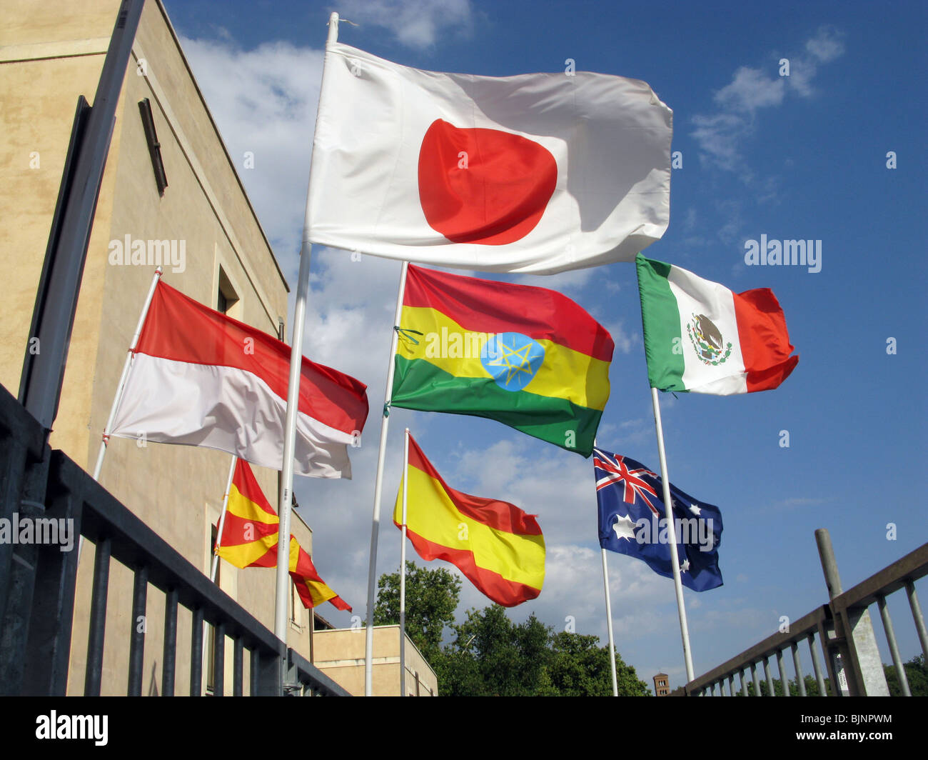 many international flags flying in wind in sun Stock Photo - Alamy
