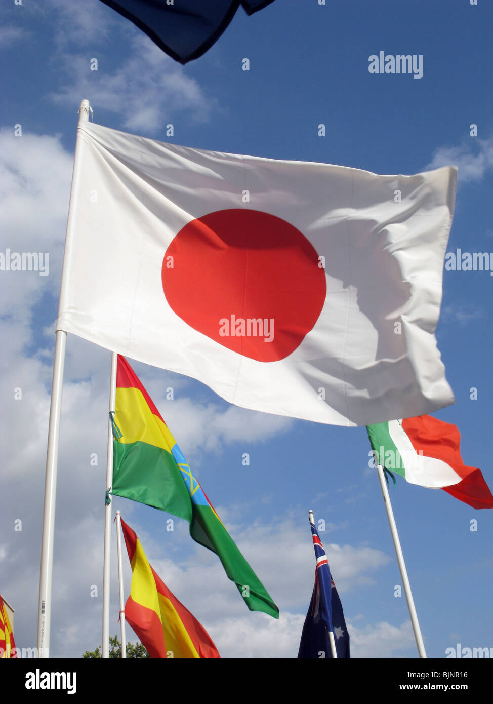 many international flags flying in wind in sun Stock Photo - Alamy