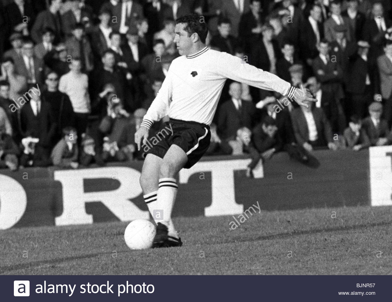 Dave Mackay Stock Photos & Dave Mackay Stock Images - Alamy