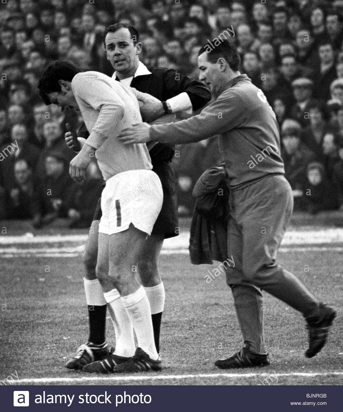 Evan Williams Stock Photos & Evan Williams Stock Images - Alamy