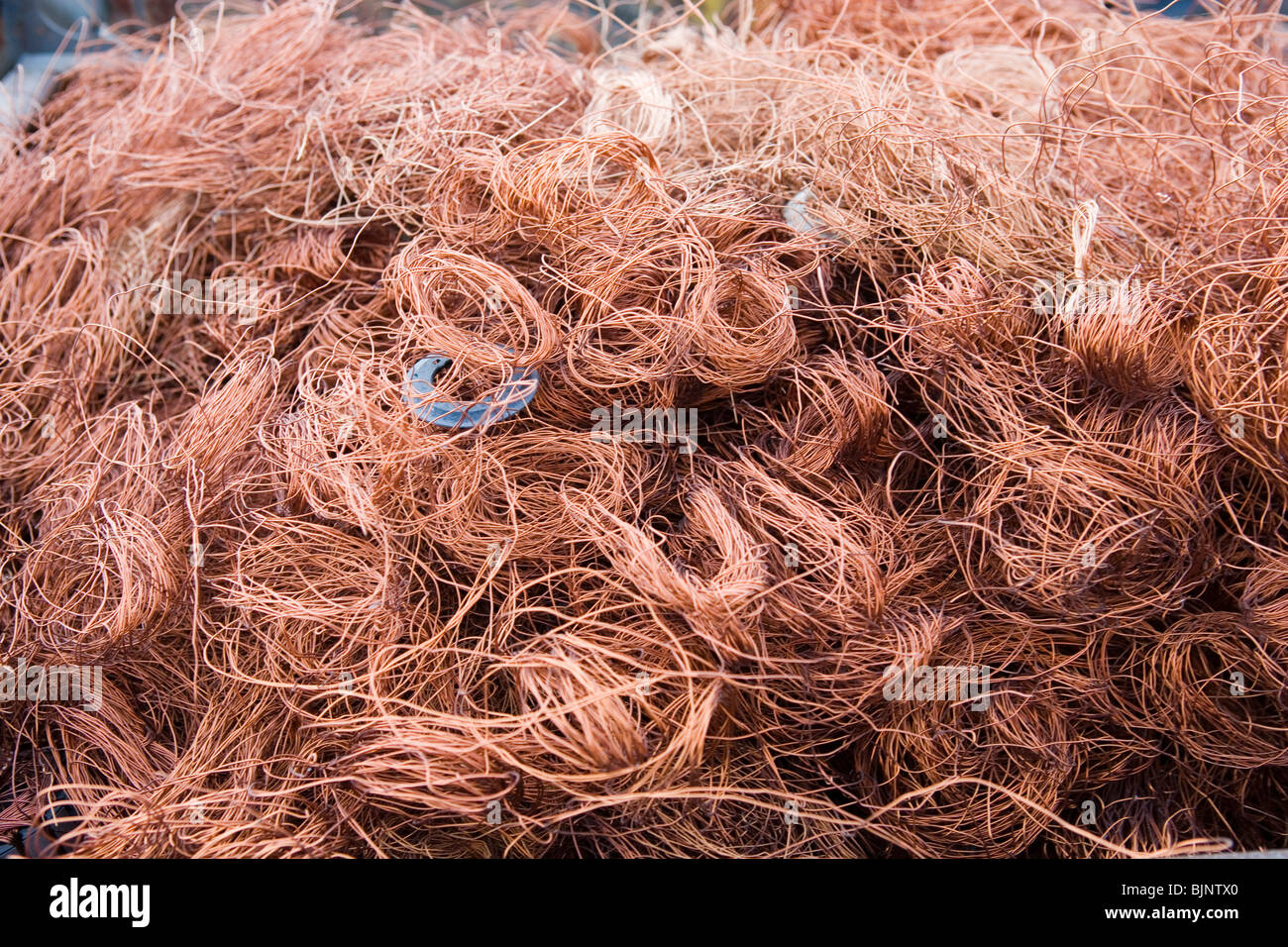 Recycling, Recycling, Waste, Environment, Recovery, Garbage, Used ...